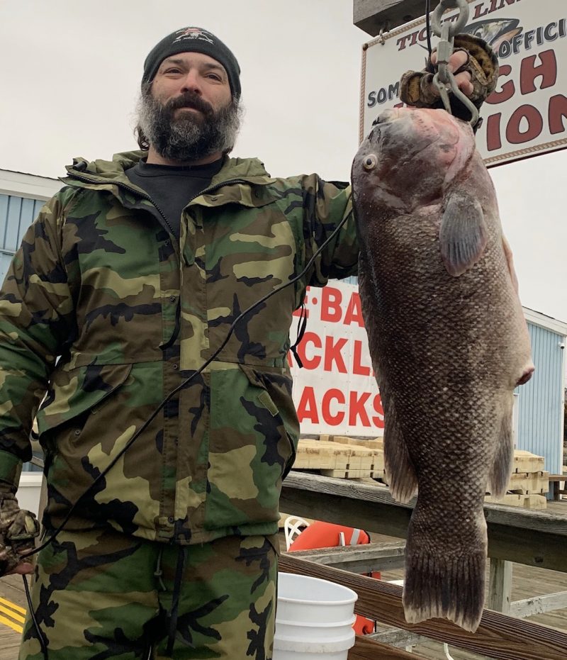 Tog/ Blackfish - Moover Fishing Adventures